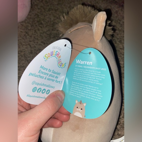 Squishmallows | Toys | 8 Warren Warthog Squishmallow | Poshmark